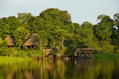 Sani Lodge: Amazon Rainforest 🌿 Offers & Secure Booking