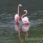 Galapagos Weather by Month - An In-Depth Guide? - GreenGo Travel