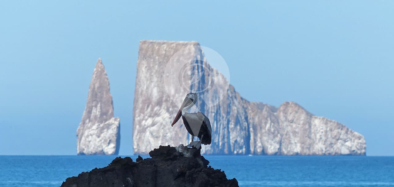 Travel To Ecuador - Galapagos, Ecuador & Amazon Holidays