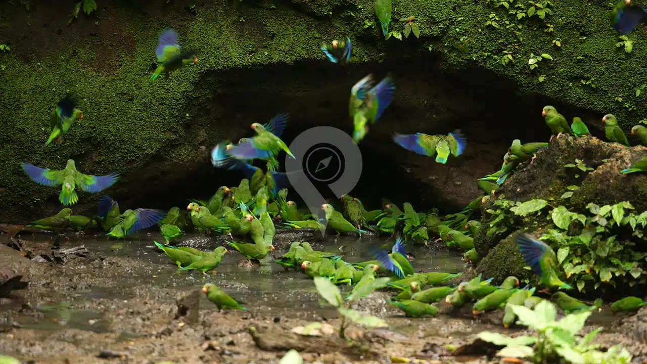 Galapagos And Amazon Rainforest Tour - Offers & Secure Booking