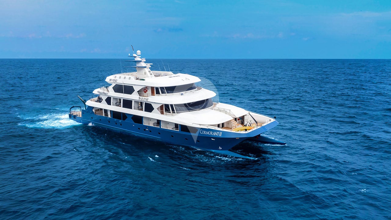 A Galapagos Catamaran Adventure: Ultimate Guide - GreenGo Travel