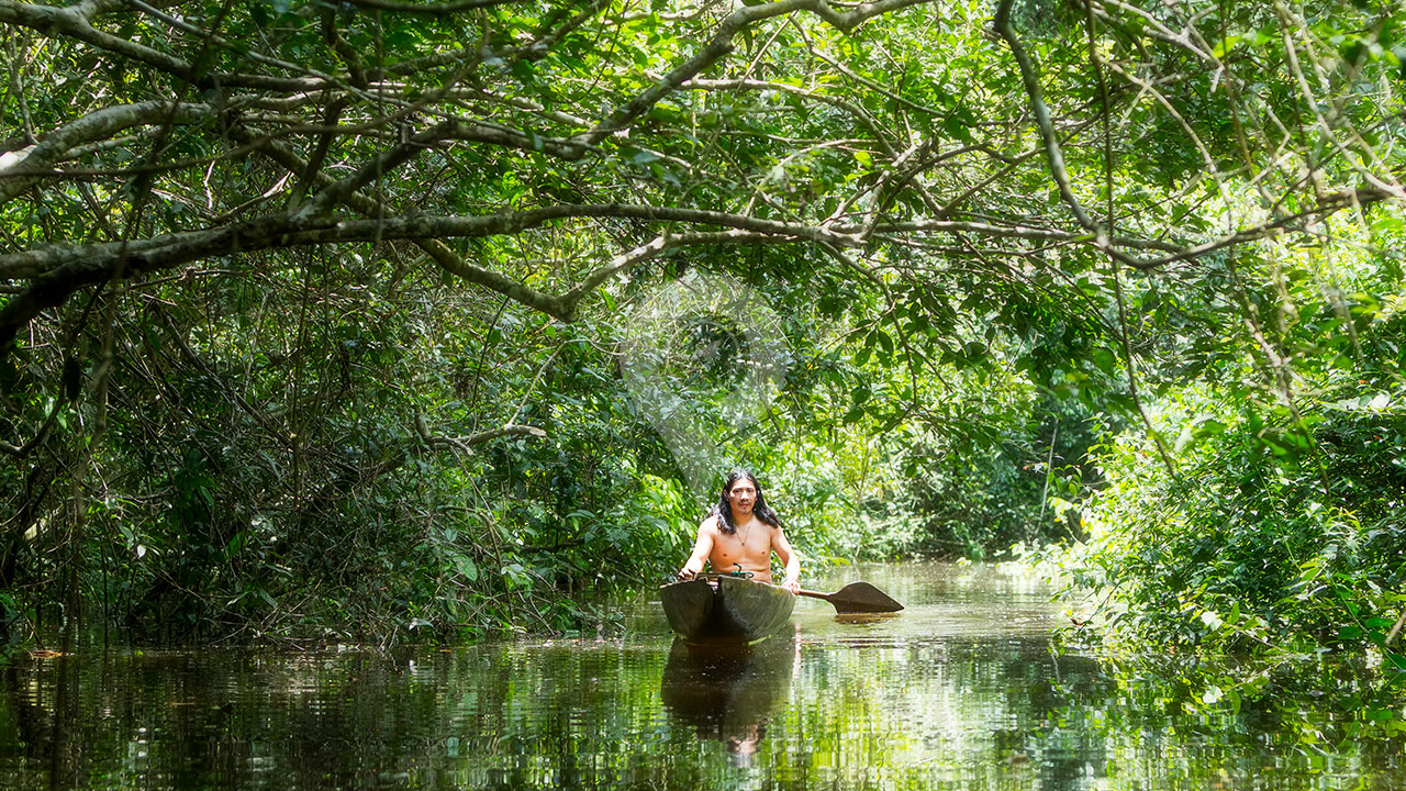 Where's the Amazon Rainforest: Location & Conservation - GreenGo Travel