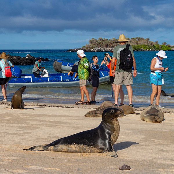 Galapagos Services > German Speaking Guide > GreenGo Travel